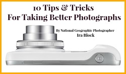 10 Tips & Tricks For Taking Better Photographs