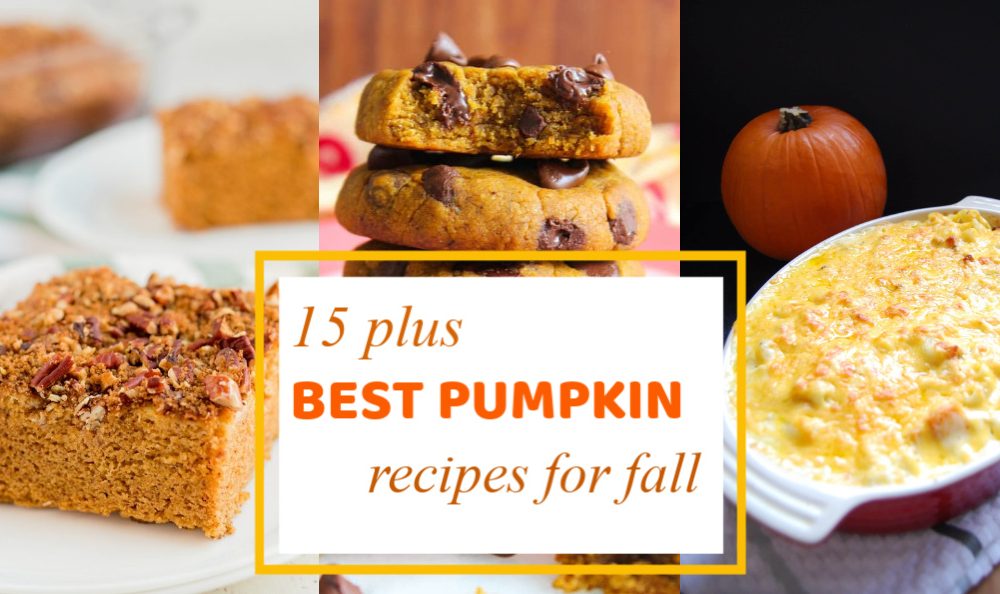 Here Are 15 Of The Best Pumpkin Recipes For Fall